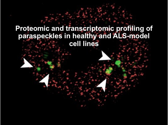 Daniel Scott wins Richard Rabasa-Lhoret Prize | Oeffinger Lab